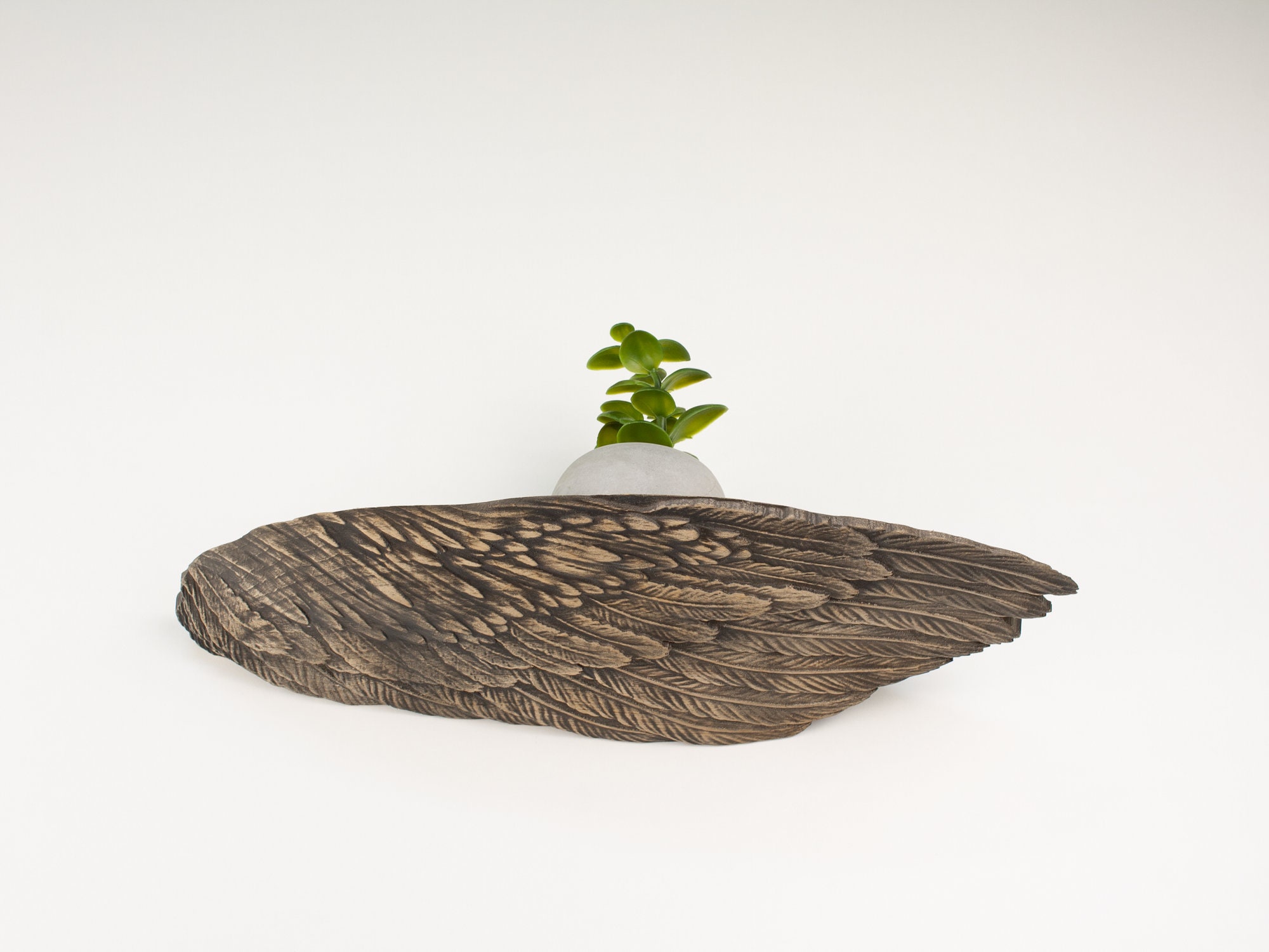 Floating Wood Shelves Angel Wings Wall Decor Wooden Shelves - Etsy