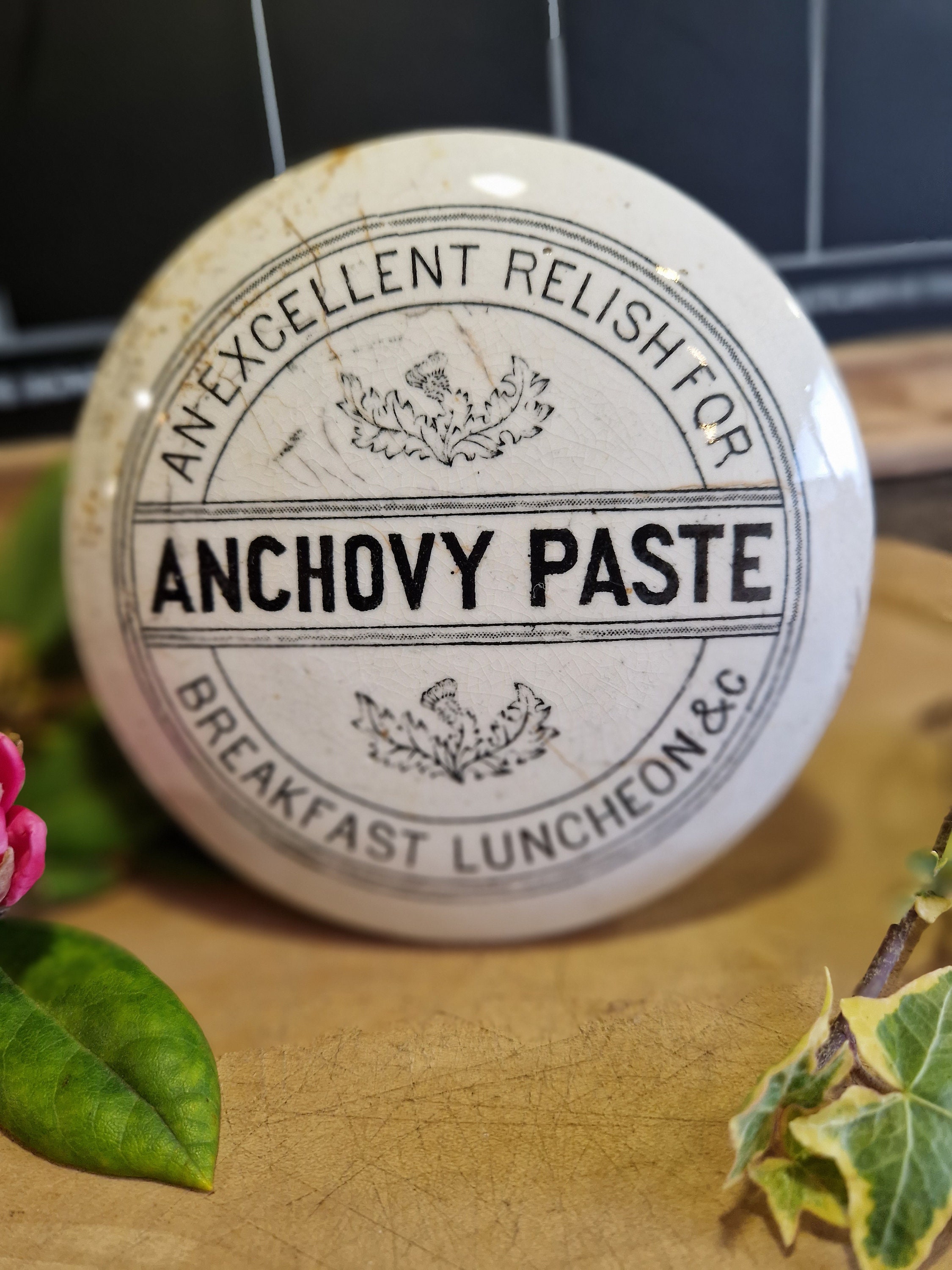 Vintage Victorian Pot Lid 1890 Anchovy Paste Lid Antique English ...