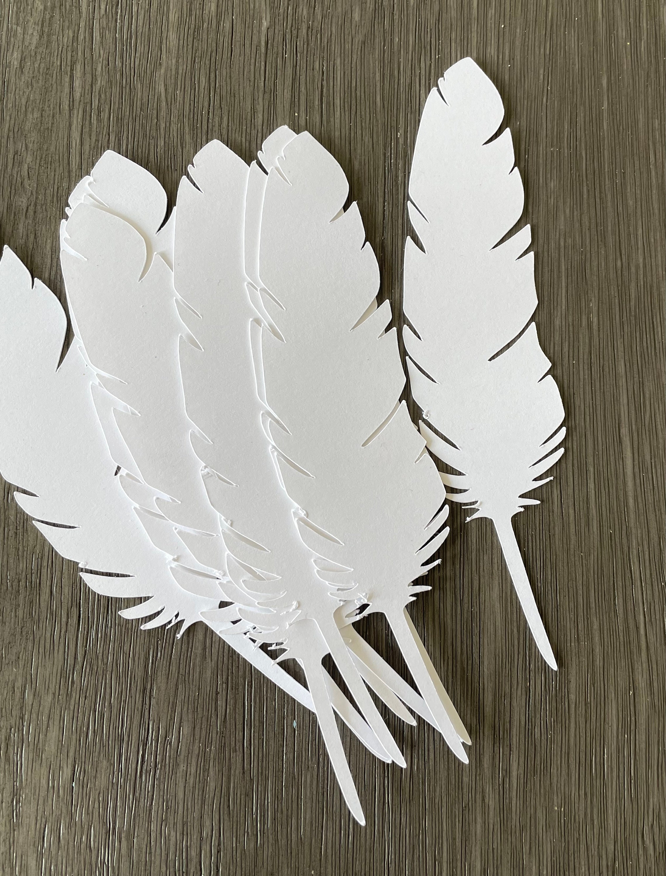 Feather Die Cuts Pack of 25 Any Colour - Etsy