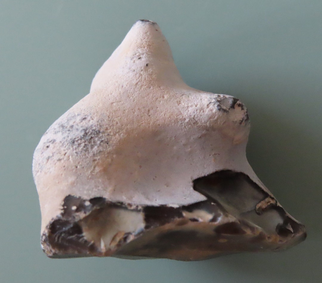 A Mountain in Your Hand Flint/chalk From Littlehampton 2019 - Etsy