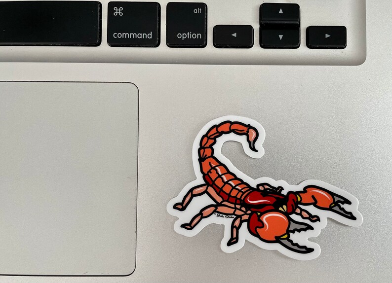 Scorpion Sticker - Vinyl Sticker - Scorpio - Weatherproof Sticker - 3 ...