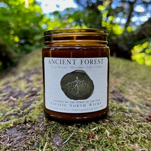 Ancient Forest Candle Woodsy Earthy Scented Candle Luxury - Etsy