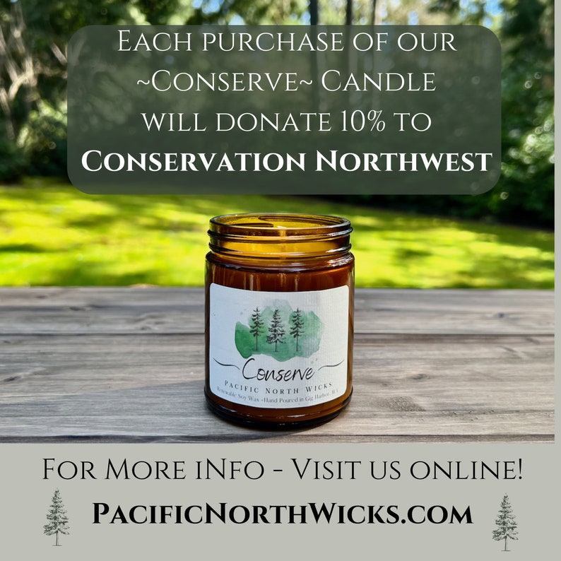 Forest Conservation Candle, Donates to Charity, Candles for a Cause ...