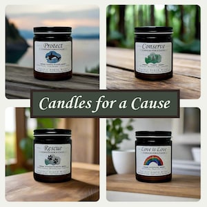 Orca Candle, Donates to Charity, Protect, Killer Whales, Orcas ...