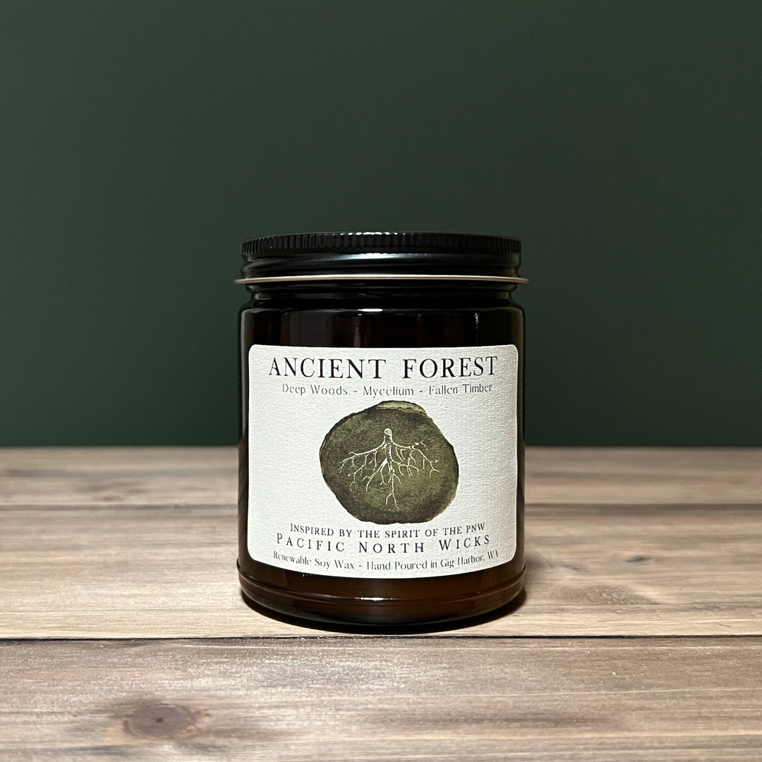 Ancient Forest Candle, Woodsy Earthy Scented Candle, Luxury Rustic ...