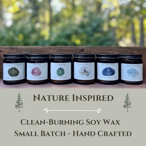 Orca Candle, Donates to Charity, Protect, Killer Whales, Orcas ...