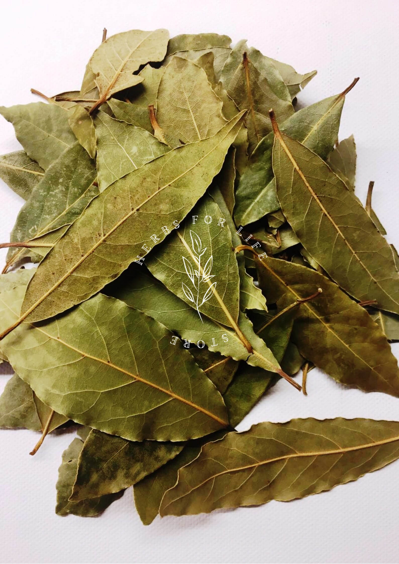 Feuilles grecques séchées de la baie entière Feuilles de | Etsy Feuilles grecques séchées de la baie entière Feuilles de | Etsy