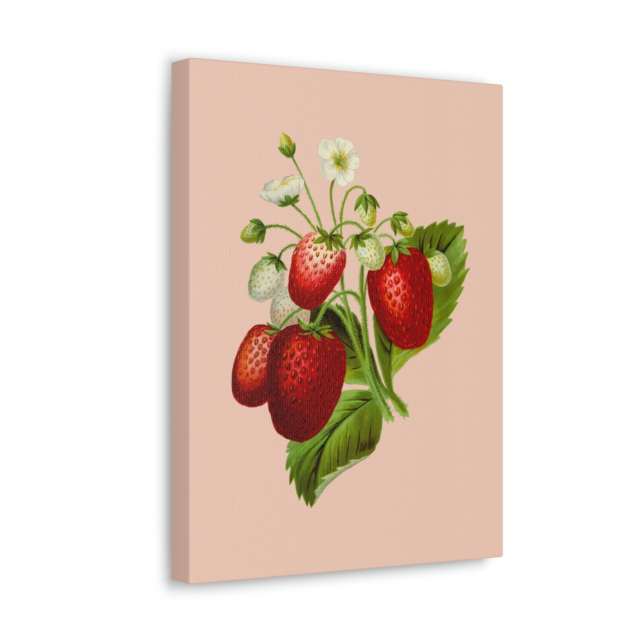 Strawberry Wall Art, Fruit and Botanical Wall Art, Farmhouse Decor ...