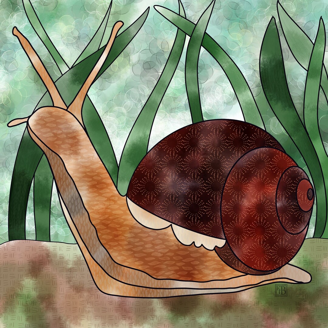 Snail Poster - Etsy