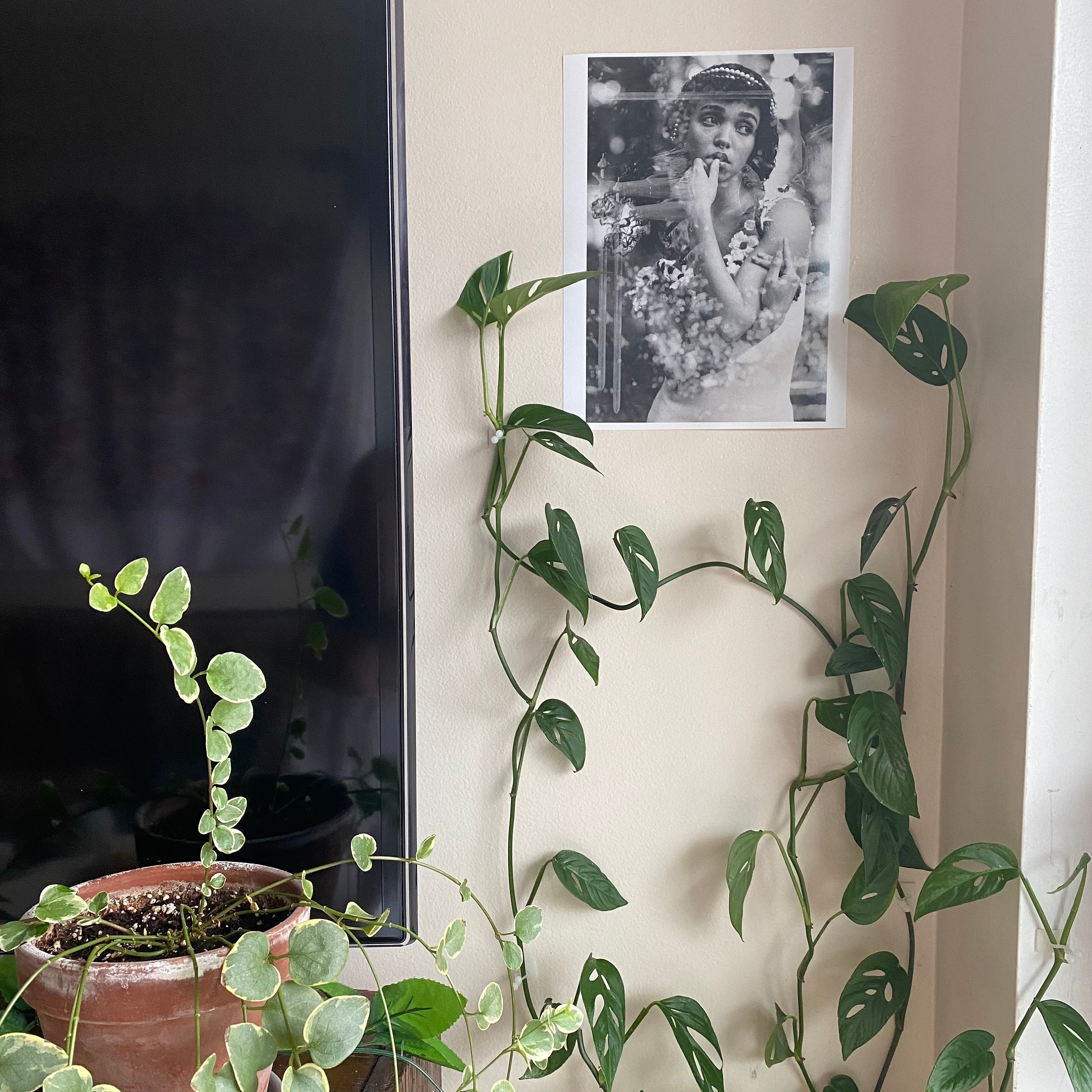 FKA Twigs Collage Art Print | Etsy