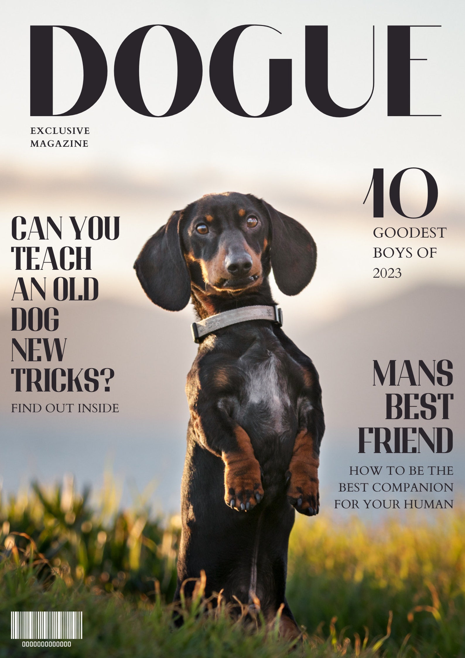 Dog/dogue Magazine Gallery Set, Trendy Art Prints, 3 Posters ...