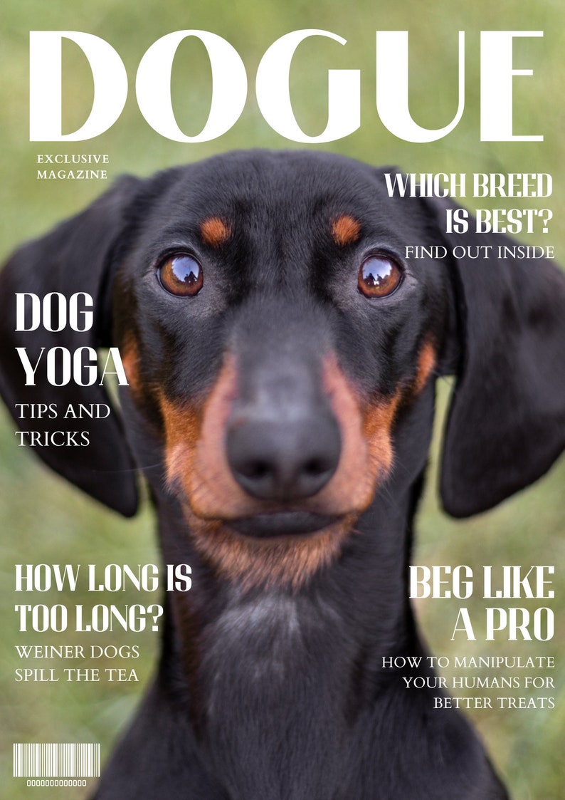 Dog/dogue Magazine Gallery Set, Trendy Art Prints, 3 Posters ...