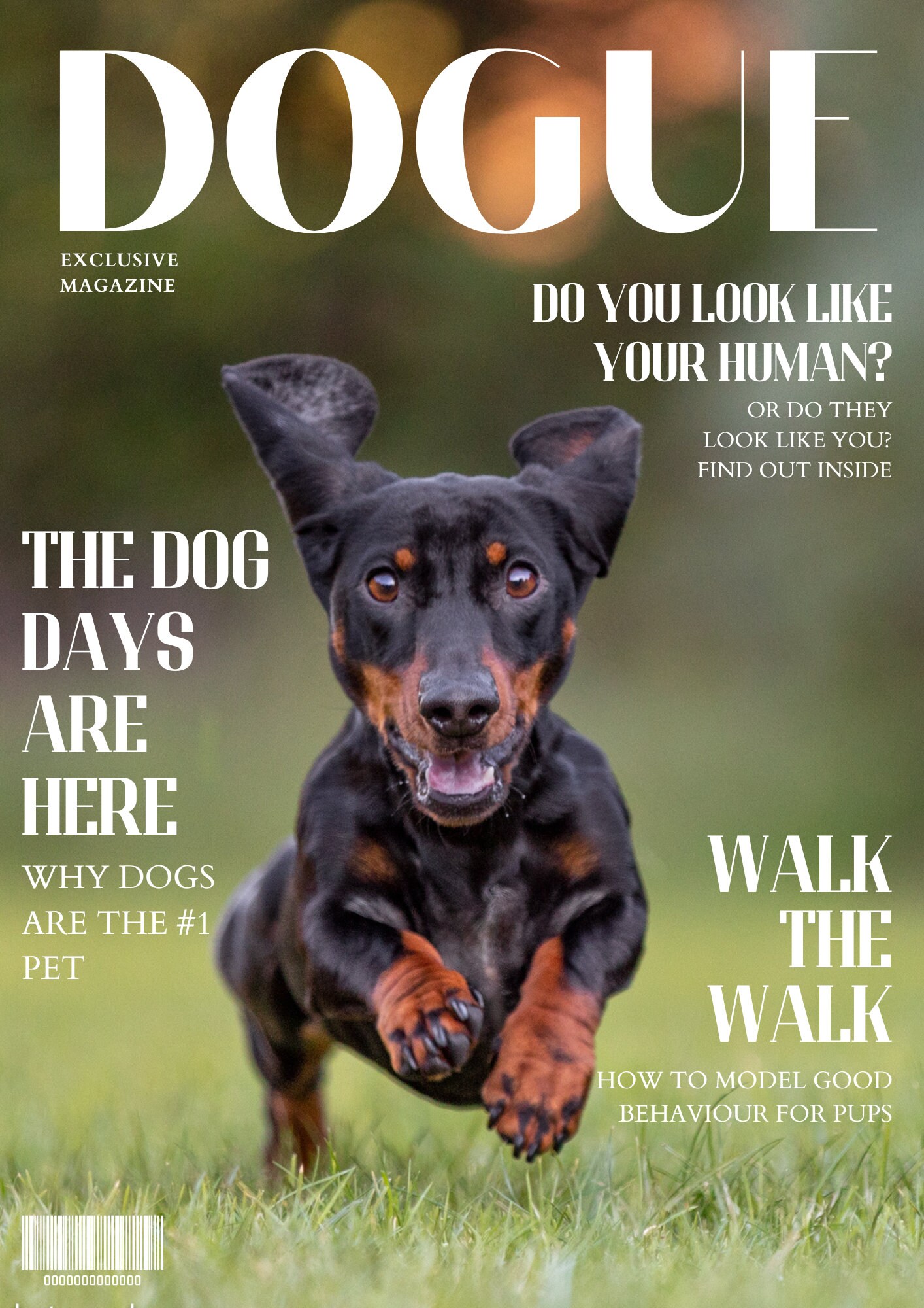 Dog/dogue Magazine Gallery Set, Trendy Art Prints, 3 Posters ...