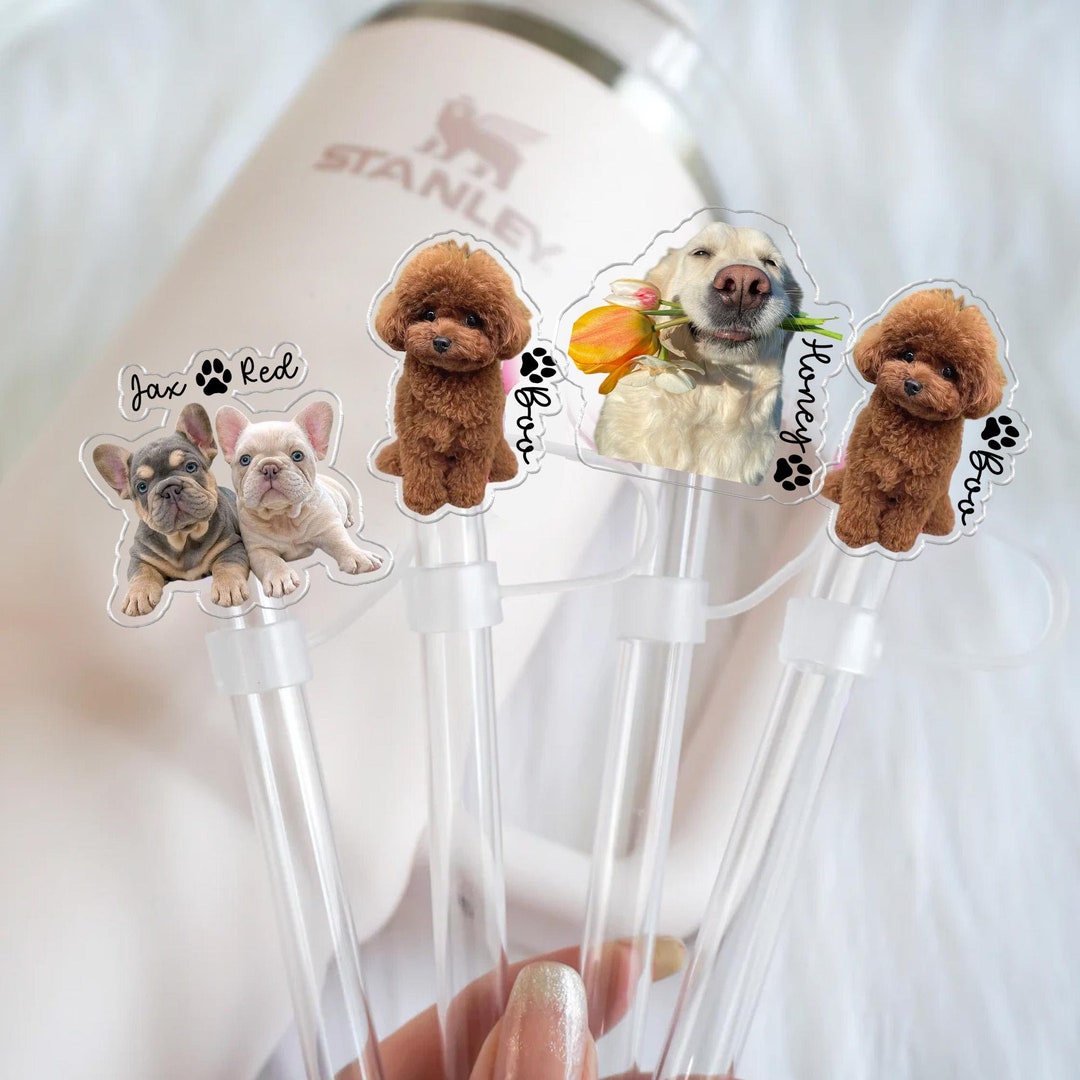 Personalized Dog Photo Stanley Straw Topper: Acrylic Dog Mom Gift - Etsy