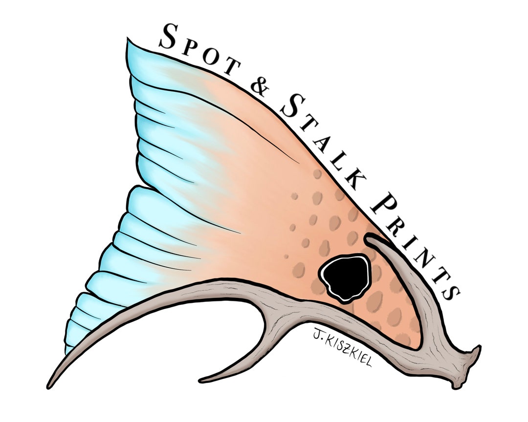 Spot & Stalk Prints Logo Sticker - Etsy