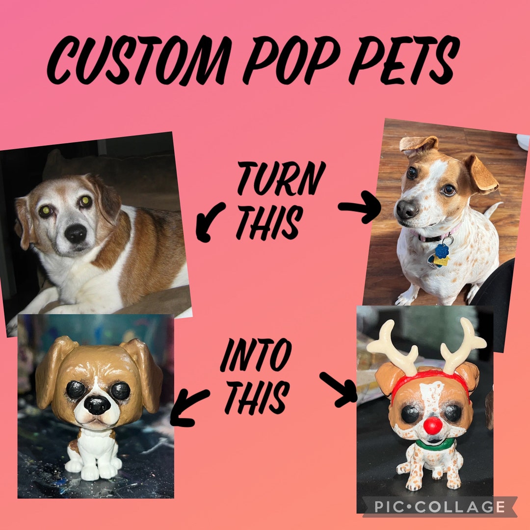 Custom Pop Pet Figures - Etsy