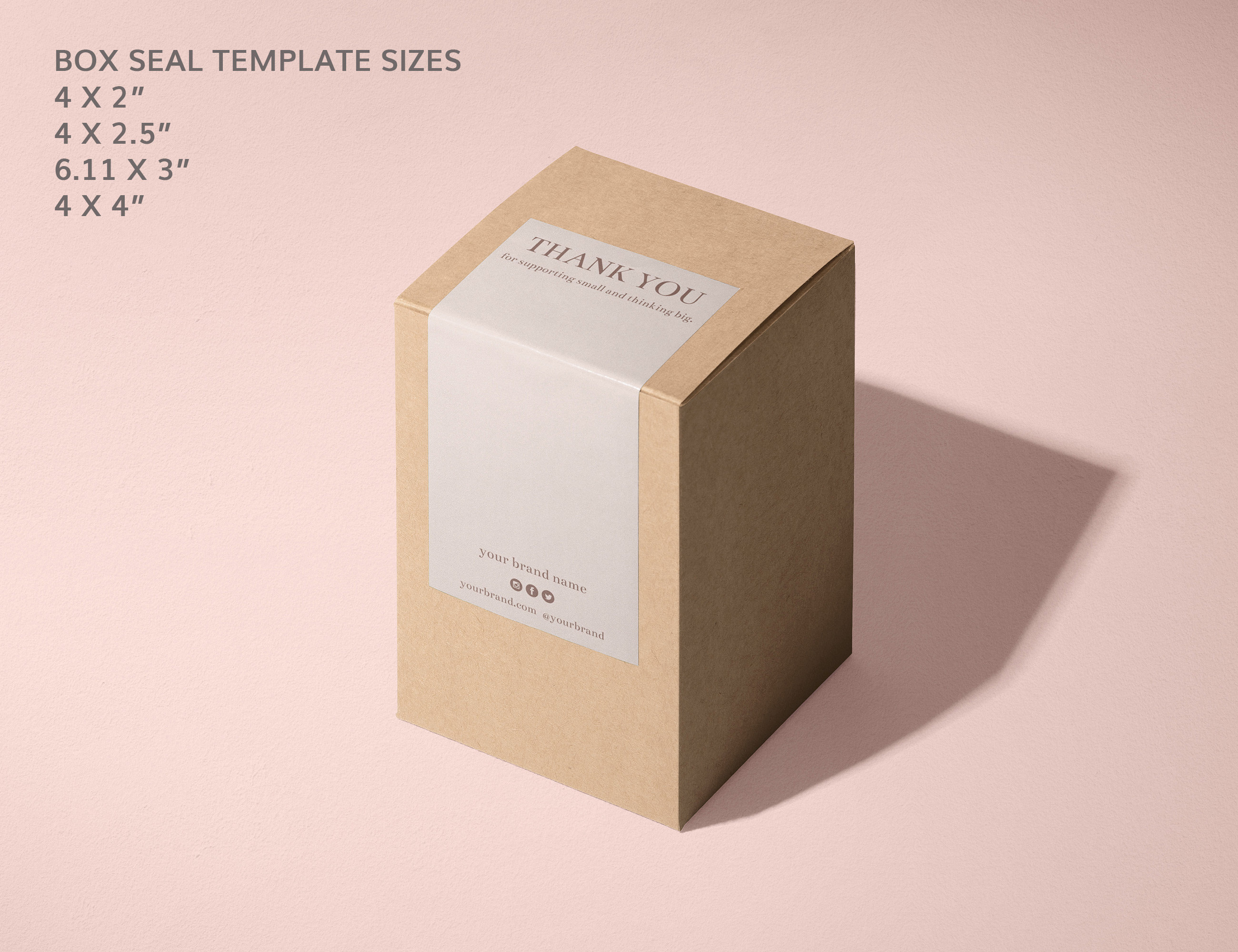 Editable Packaging Template Bundle, Packaging Design, Neutral Branded ...