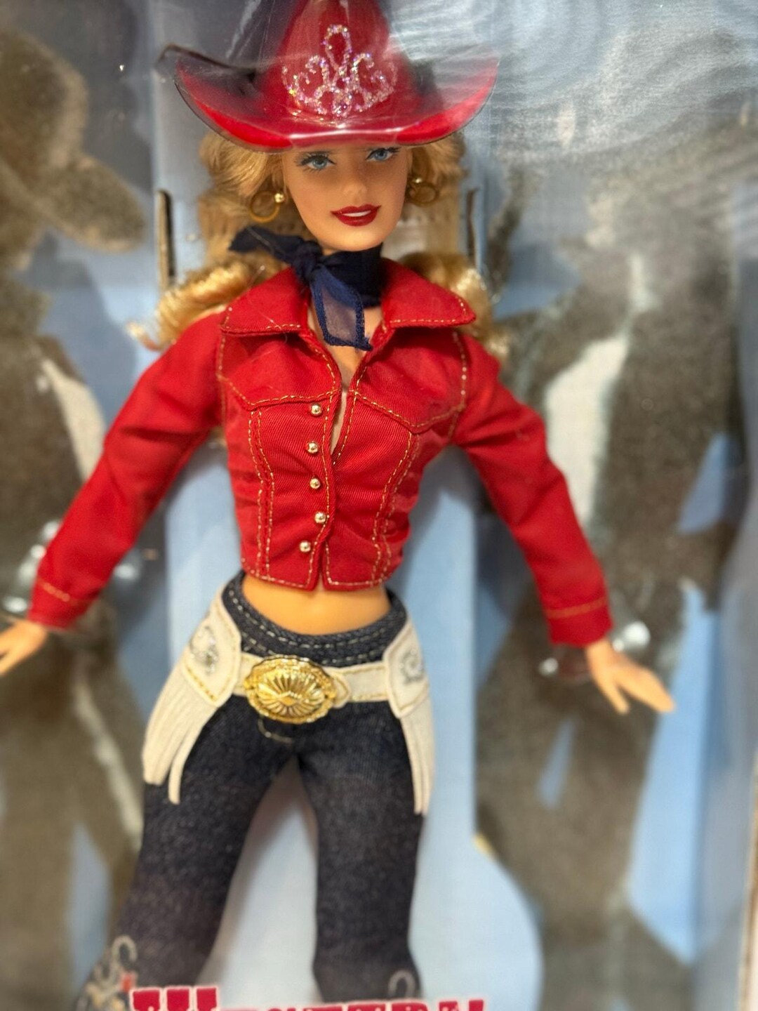 Western Chic Barbie Doll Silver Label 2001 Mattel #55487 Cowgirl ...