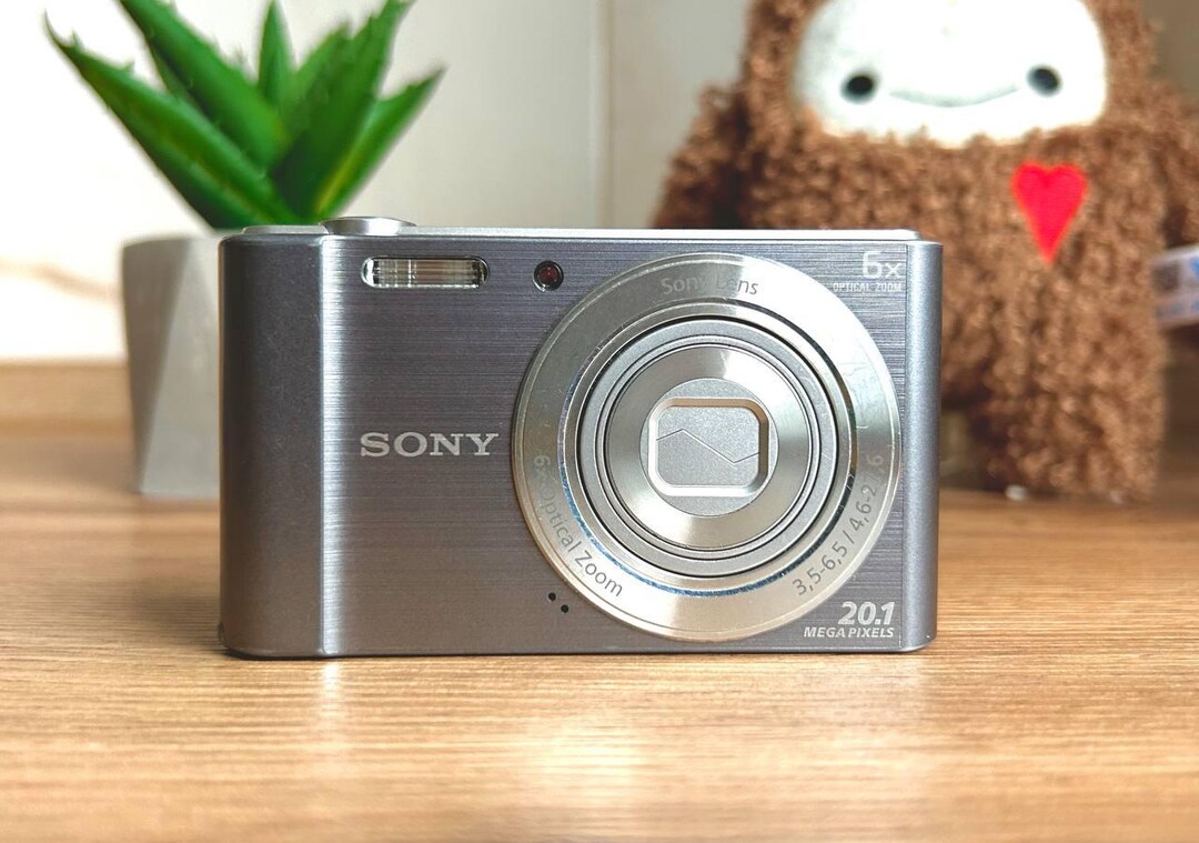 Silver Sony Cyber-shot DSC-W810 Digital Camera/20.1 MP 6X Optical Zoom ...