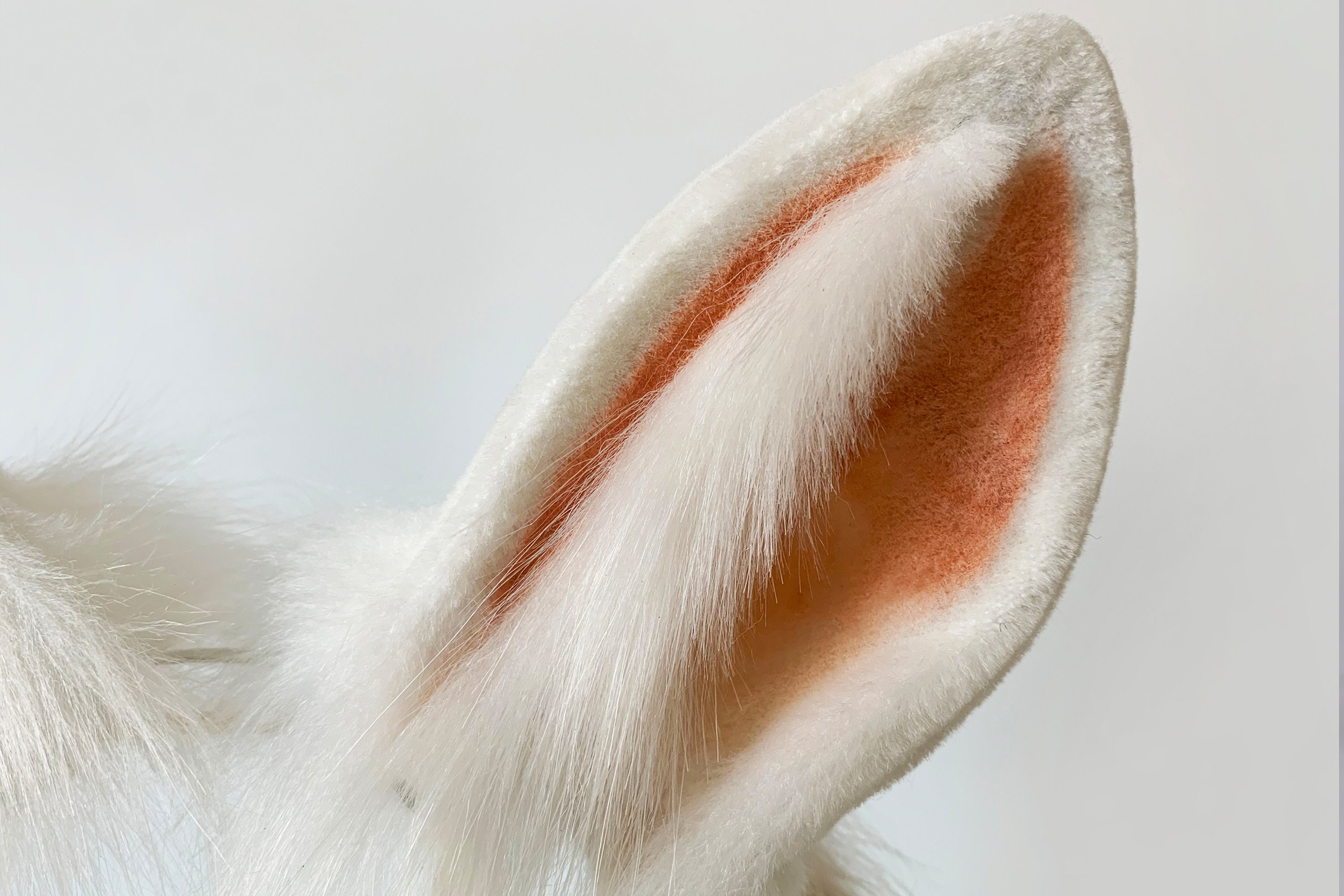Realistic Bunny Ear and Tail Set White Bunny Ear Cosplay - Etsy