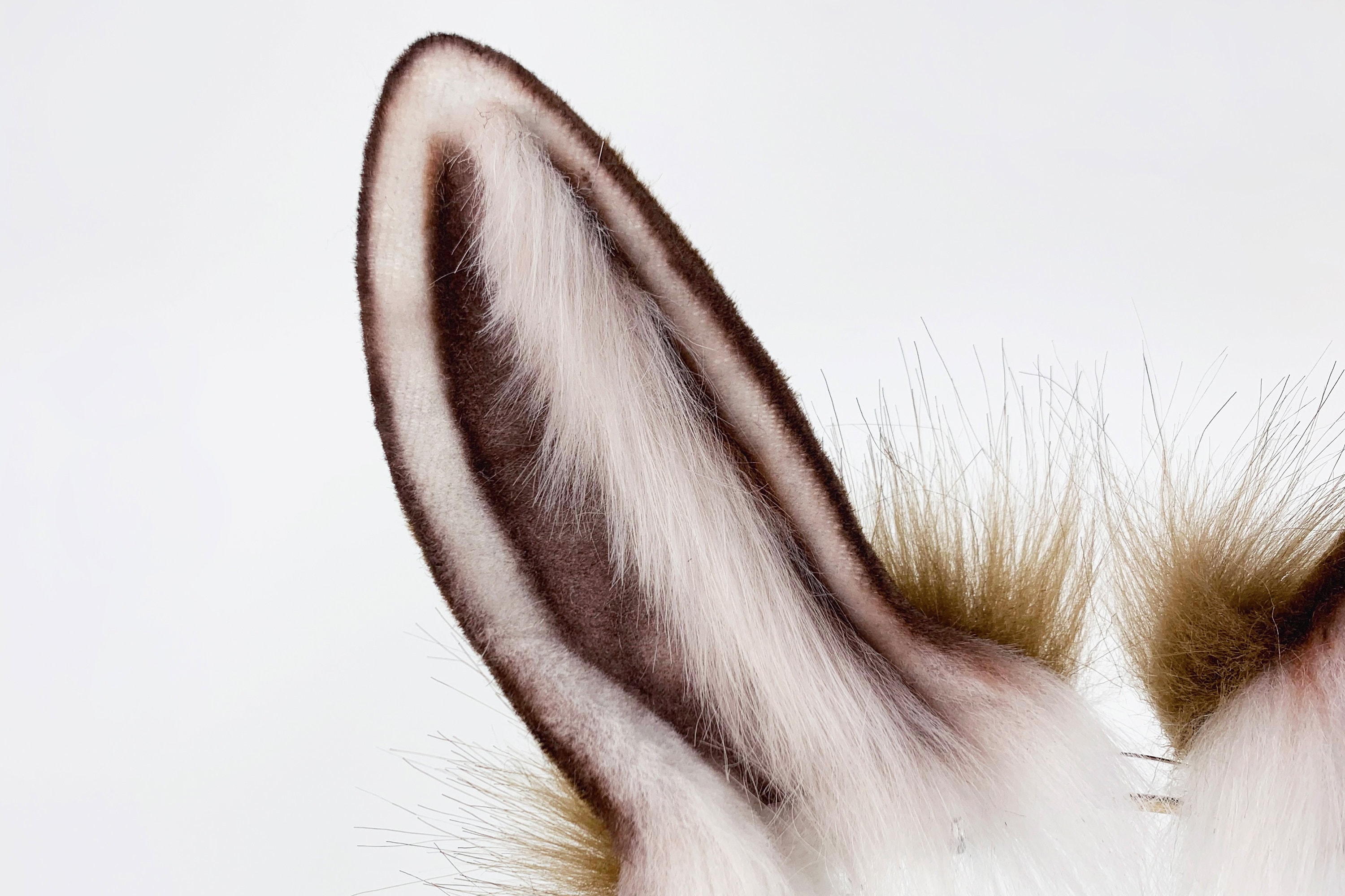 Brown Realistic Bunny Ear and Tail Set Rabbit Ear and Tail Set - Etsy