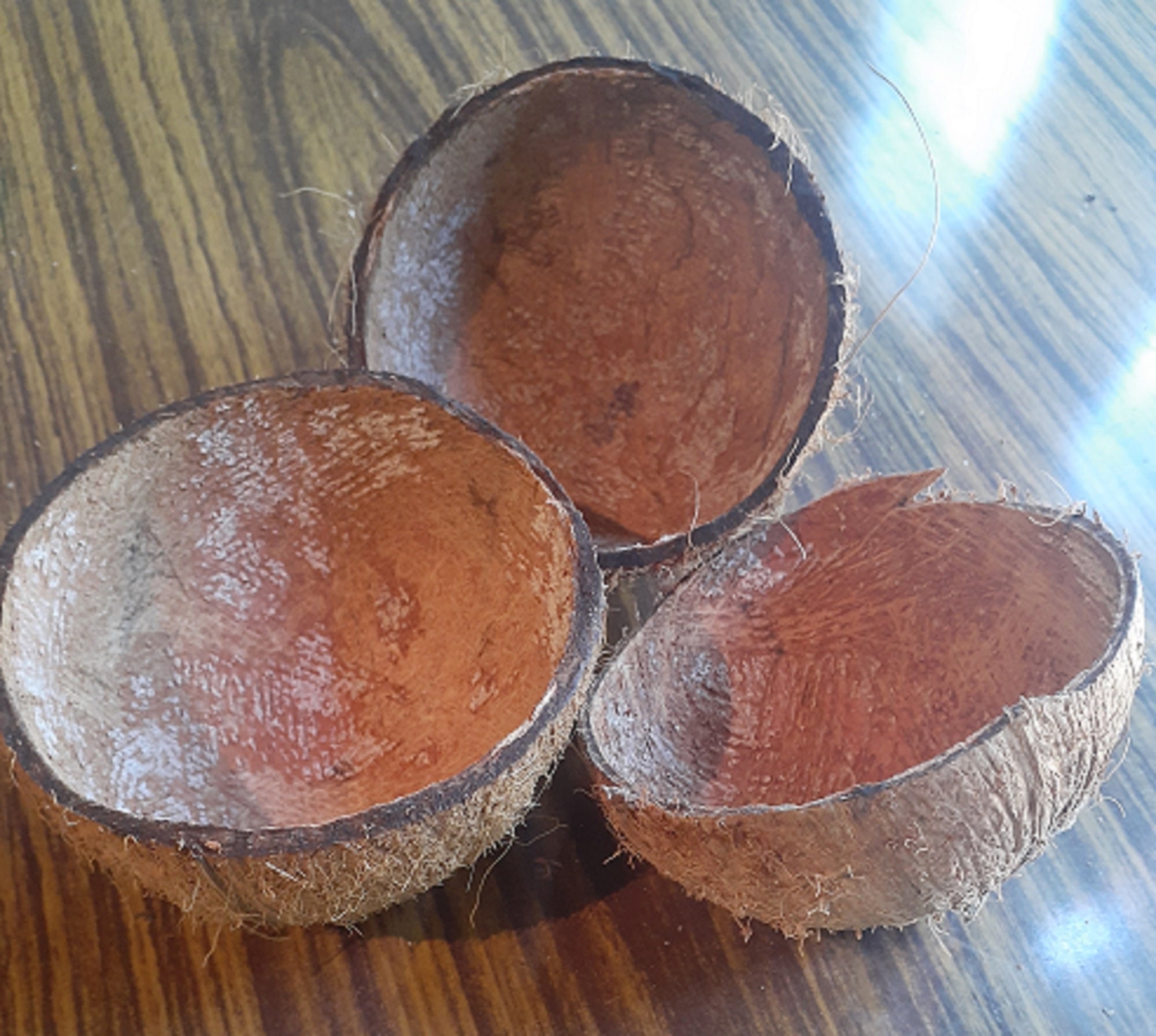 Original Coconut shell half High Quality 100% Natural5Pcs | Etsy
