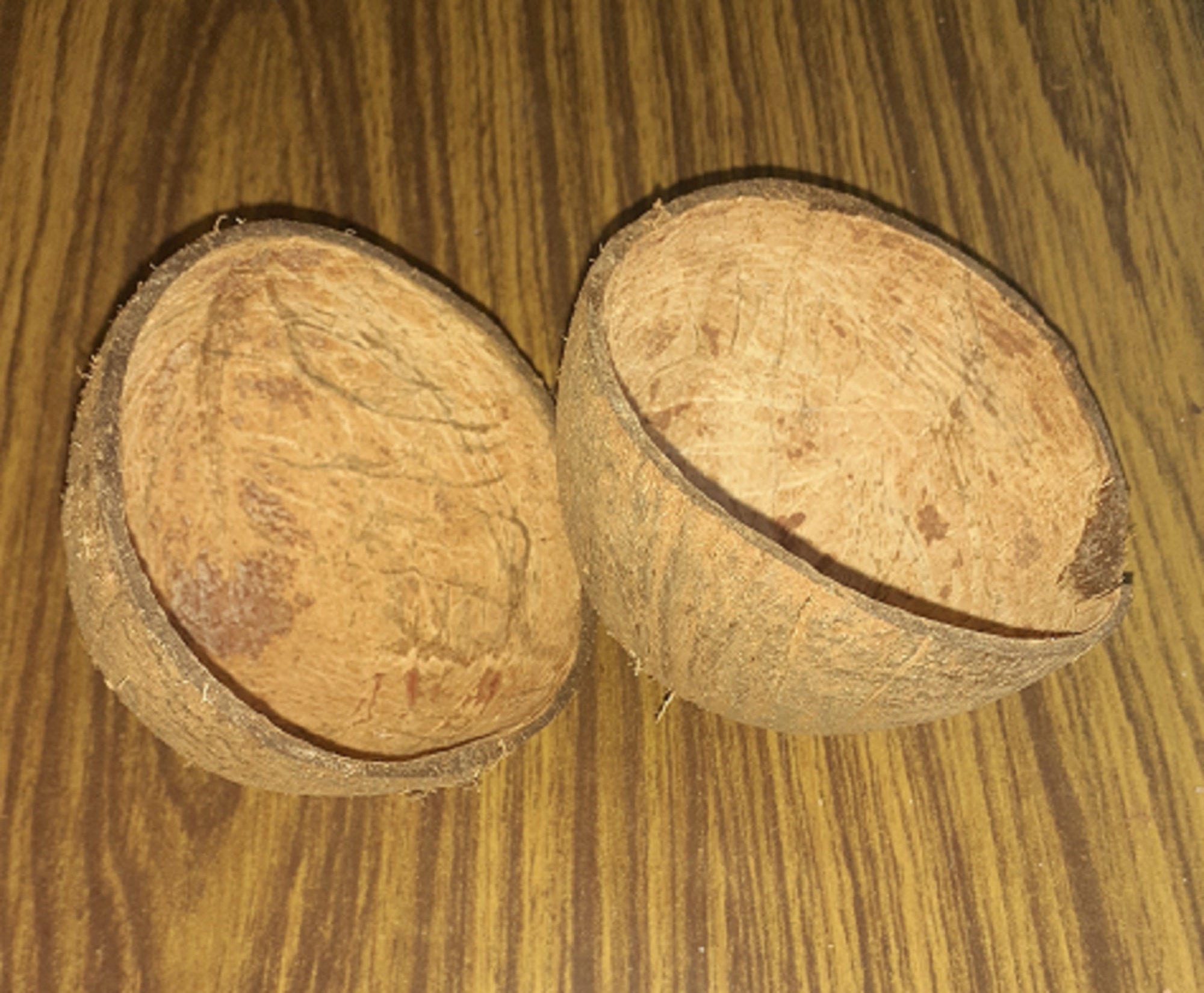 Original Coconut shell half High Quality 100% Natural5Pcs | Etsy