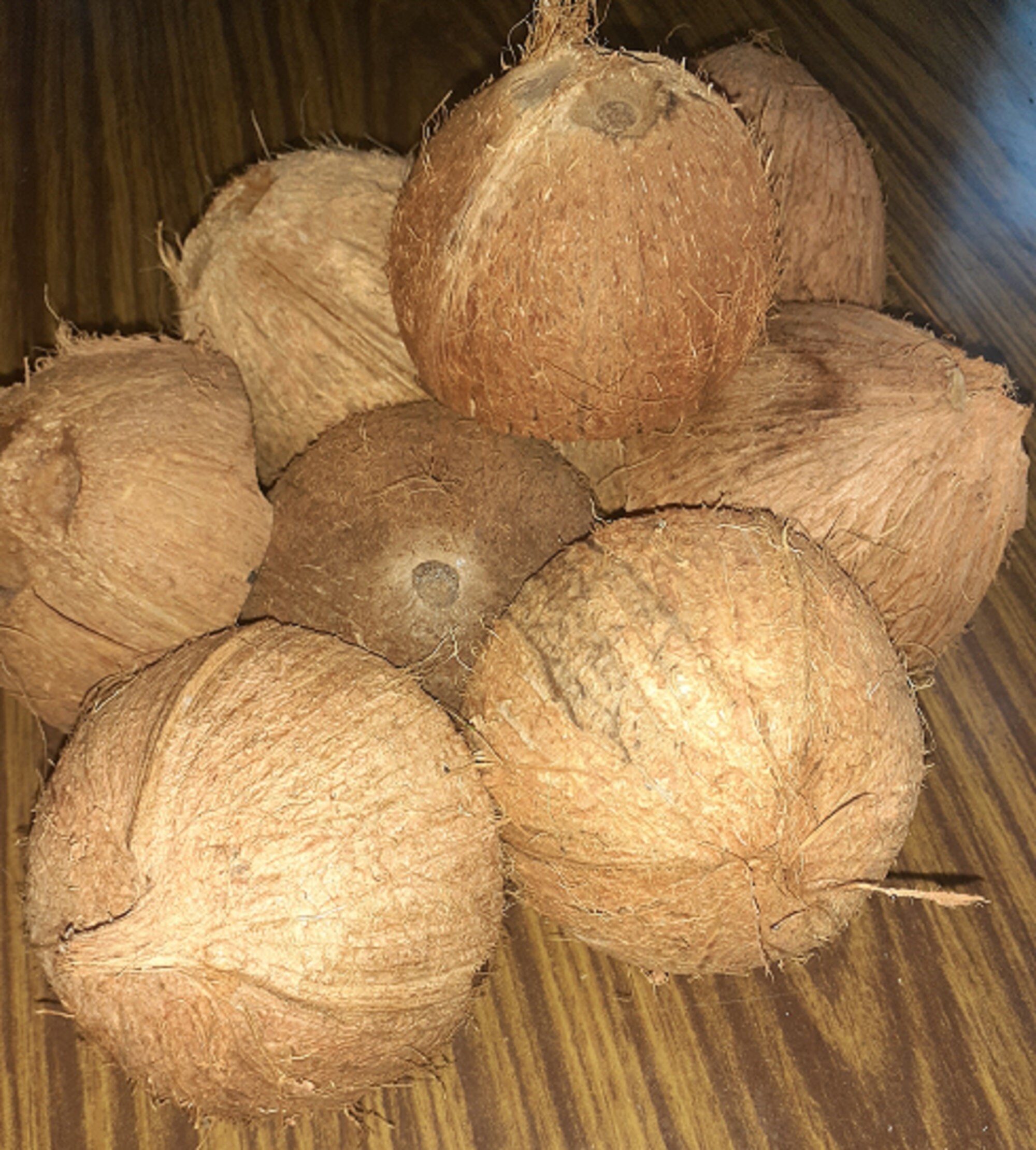 Original Coconut shell half High Quality 100% Natural5Pcs | Etsy