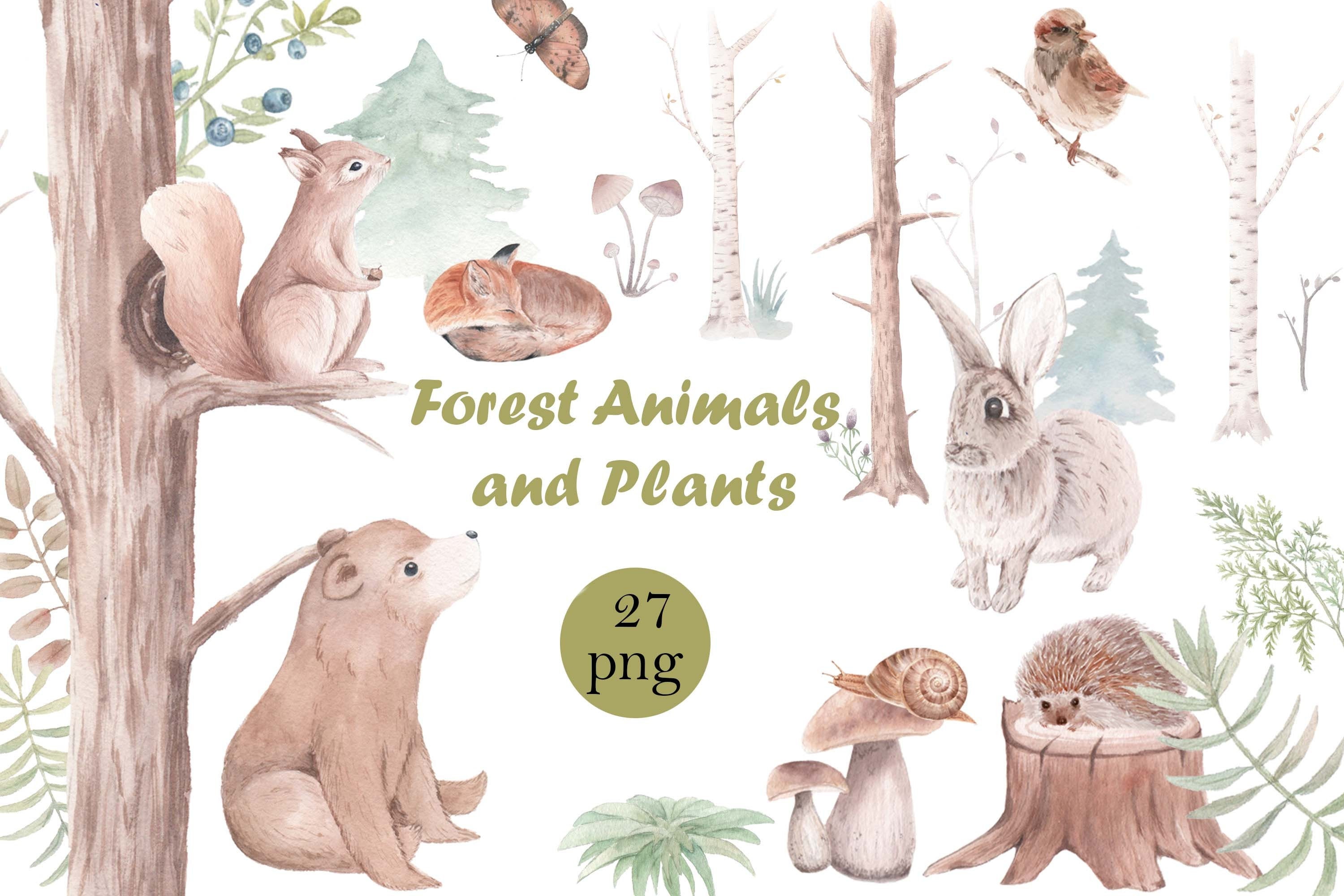 Woodland Animals Watercolor Clipart Nursey Decor Forest - Etsy