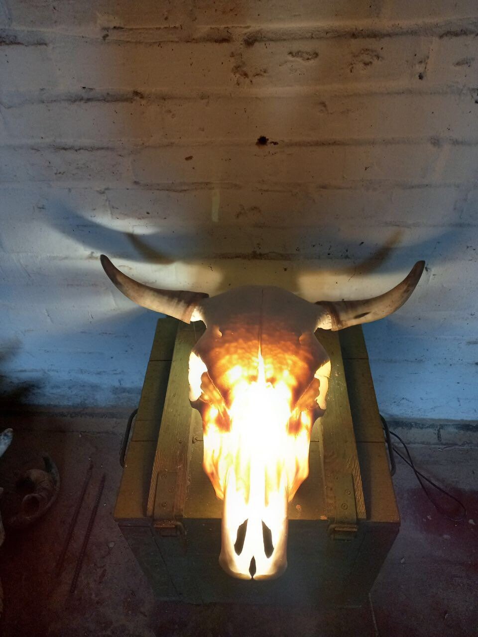 Real Bull Skull Lamp. Processed and Whitened | Etsy Canada
