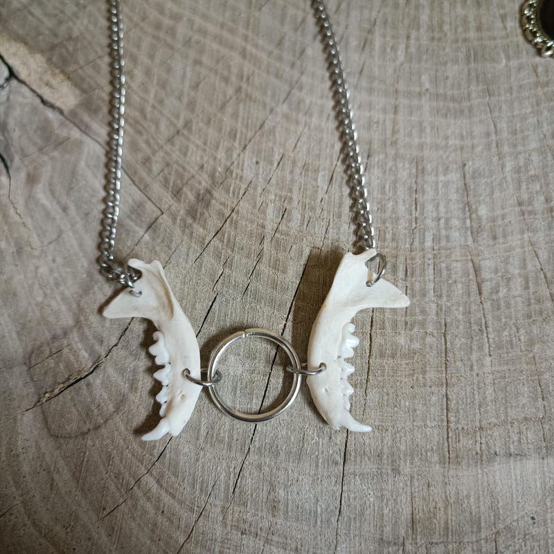 Animal Bone Jewelry - Etsy