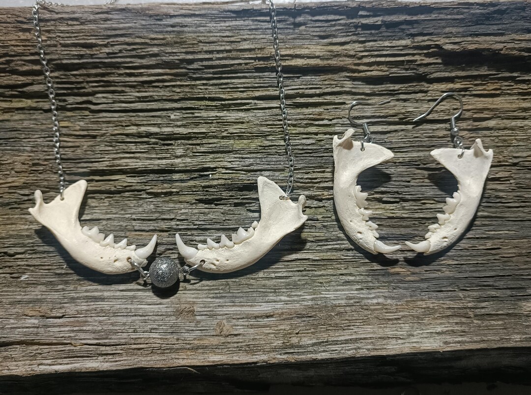Real Bone Necklace: Gothic Witch Jewelry - Etsy