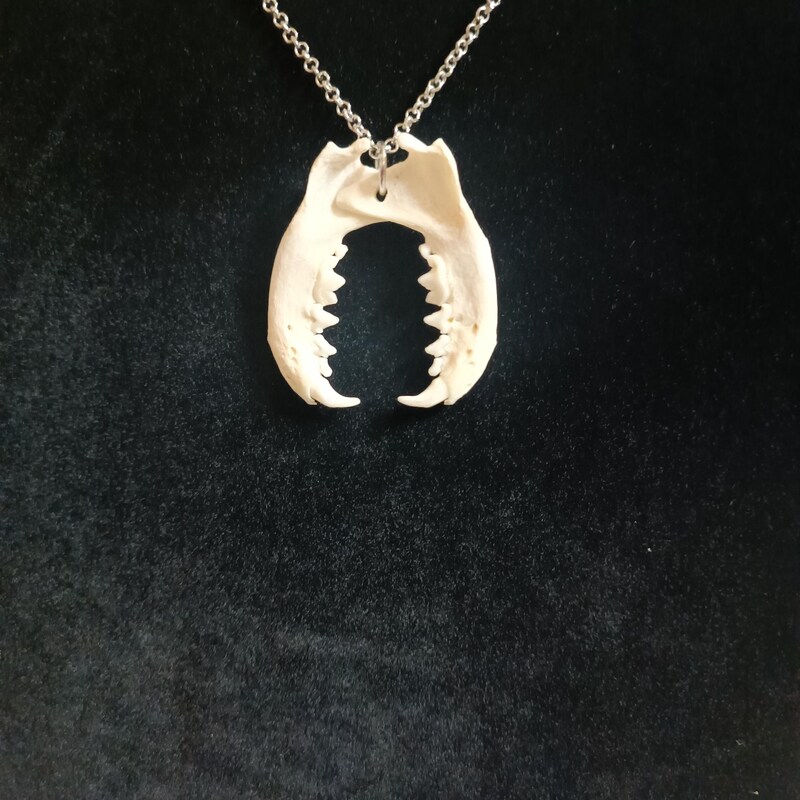 Bones Necklace - Etsy