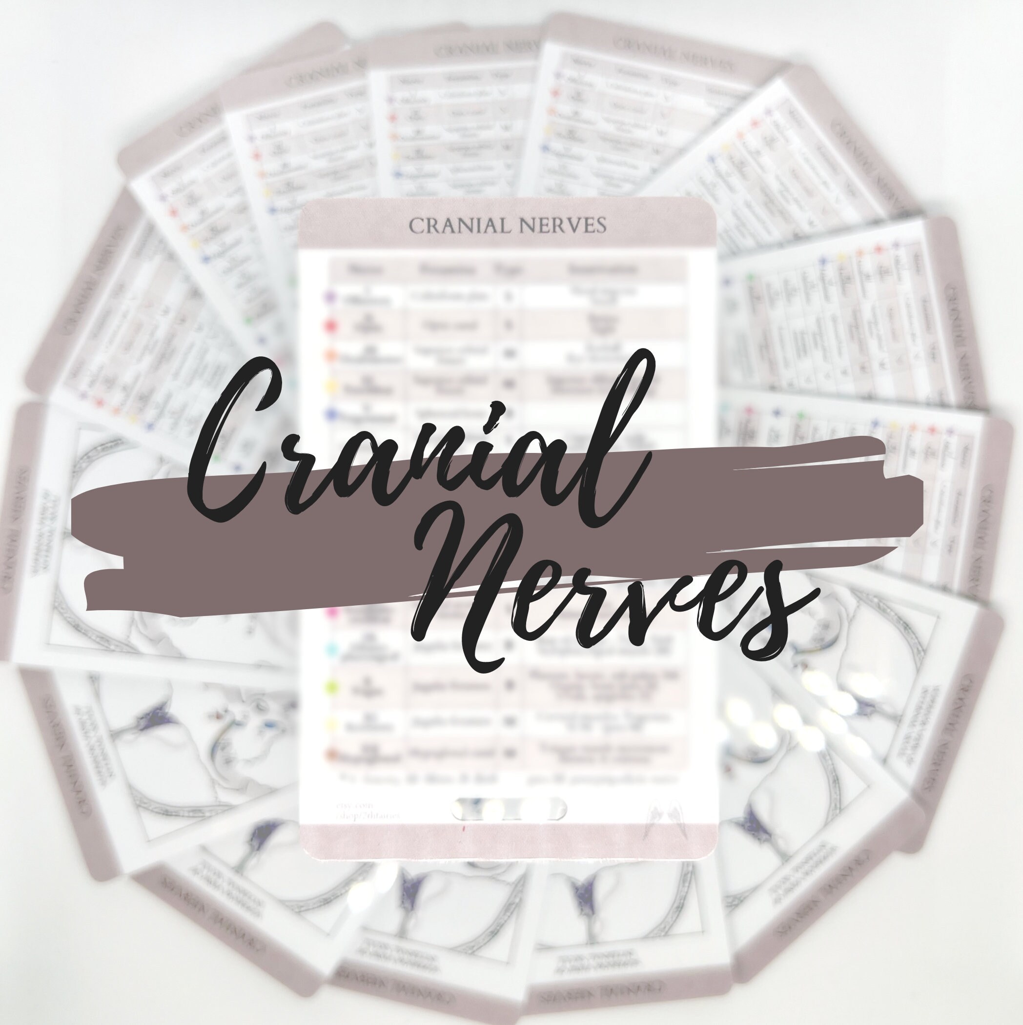 Cranial Nerves. Quick Reference Card Study Cards Dental - Etsy Australia