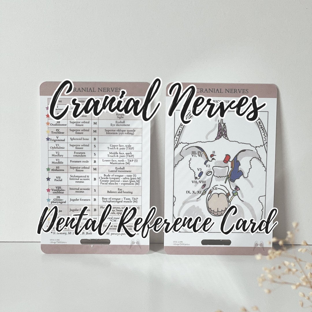 Cranial Nerves. Quick Reference Card, Study Card, Dental Hygiene ...
