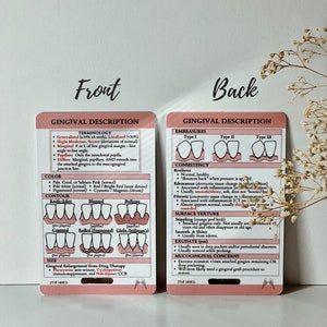 Gingival Description. Quick Reference Card, Study Card, Dental ...