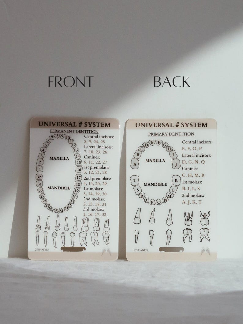 Universal Numbering System Card: Quick Reference Badge Buddy for ...