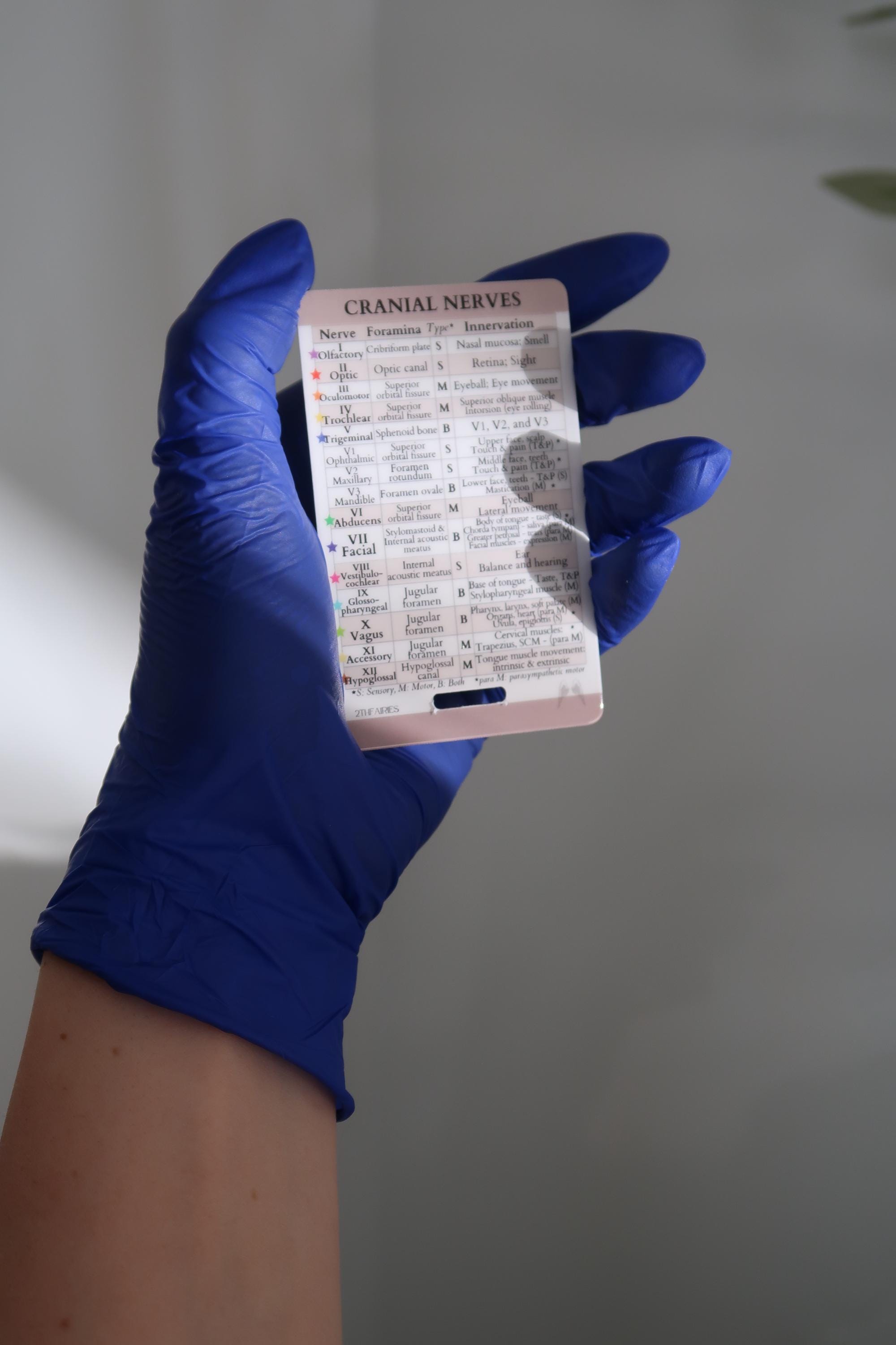Cranial Nerves Reference Card: Quick Study Aid for Dental Hygiene ...