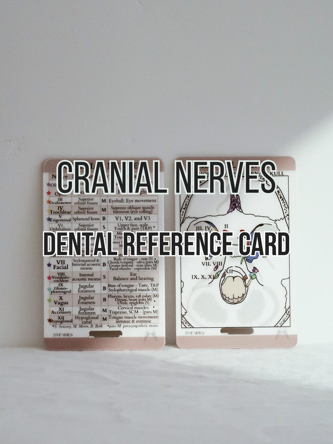 Cranial Nerves. Quick Reference Card, Study Card, Dental Hygiene ...