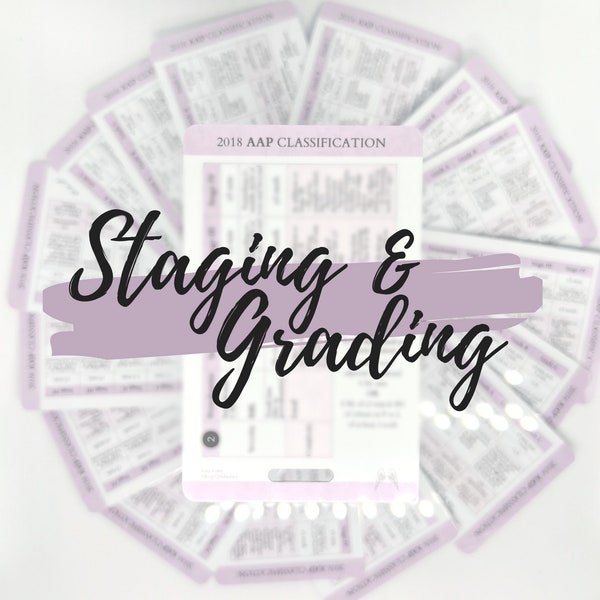 Dental Hygiene Staging and Grading - Etsy