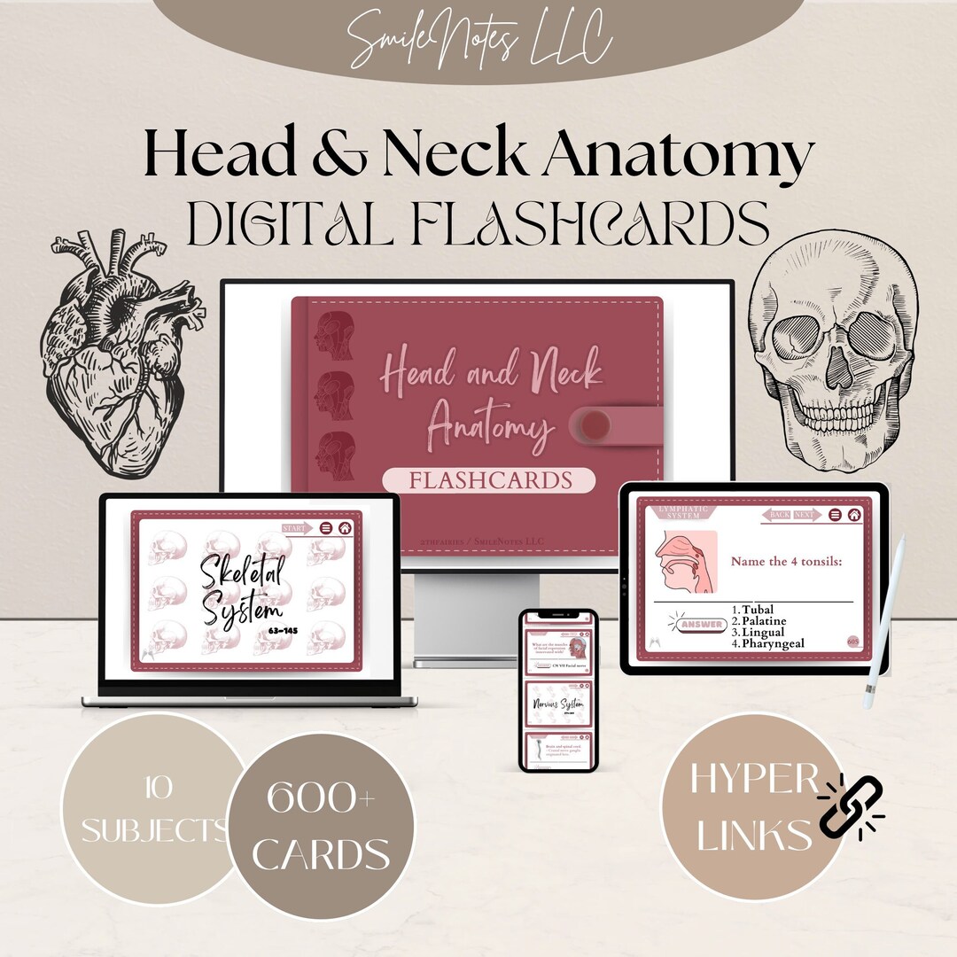 Head and Neck Anatomy Digital Flashcards. Nursing | Dental | Dental ...