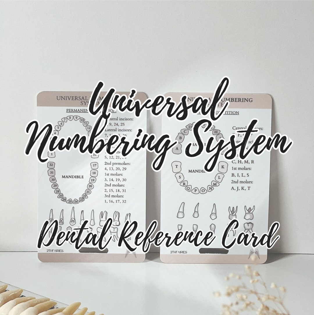 Universal Numbering System. Quick Reference Card, Study Card, Dental ...