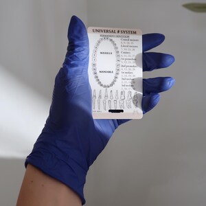 Universal Numbering System Card: Quick Reference Badge Buddy for ...