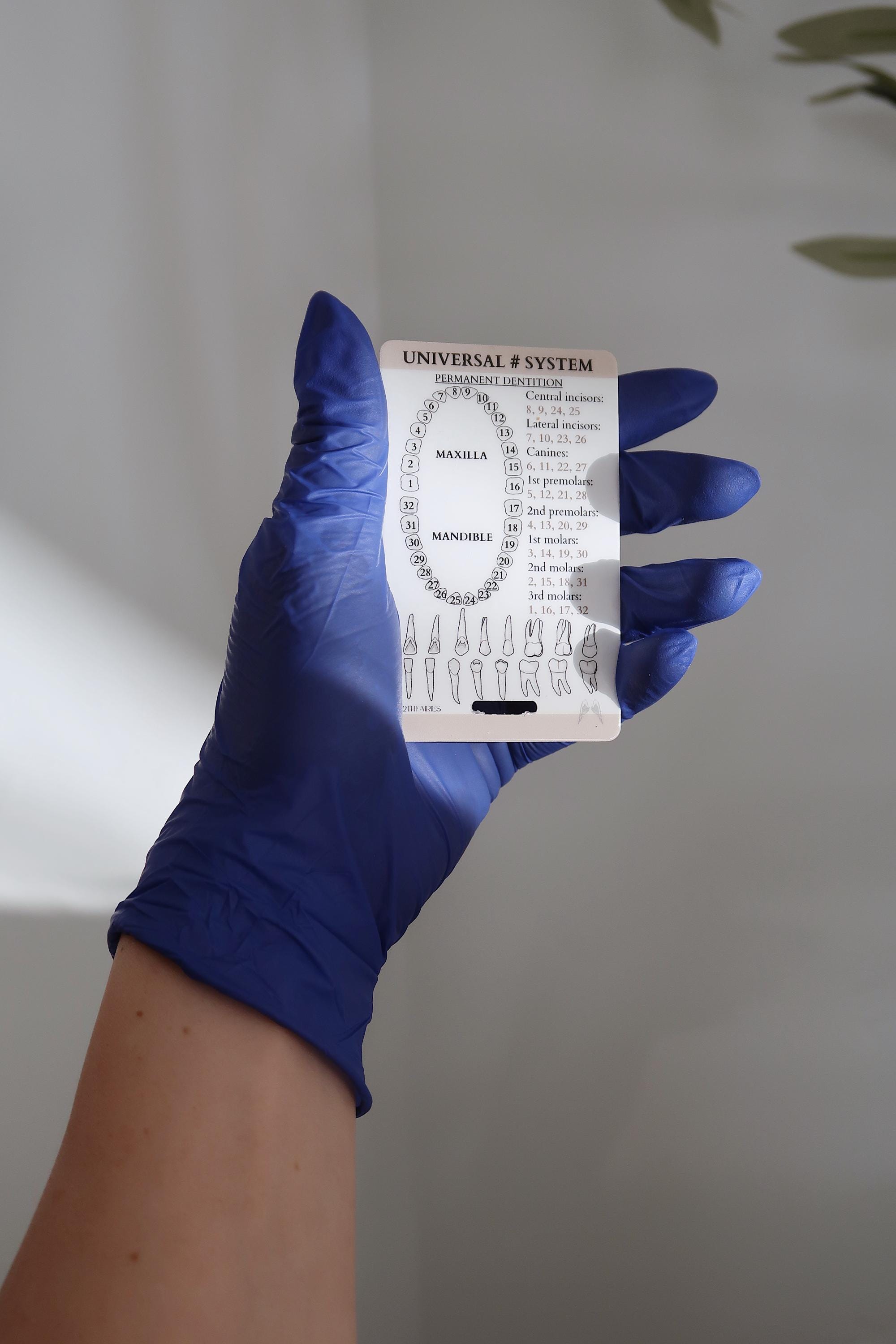 Universal Numbering System Card: Quick Reference Badge Buddy for ...