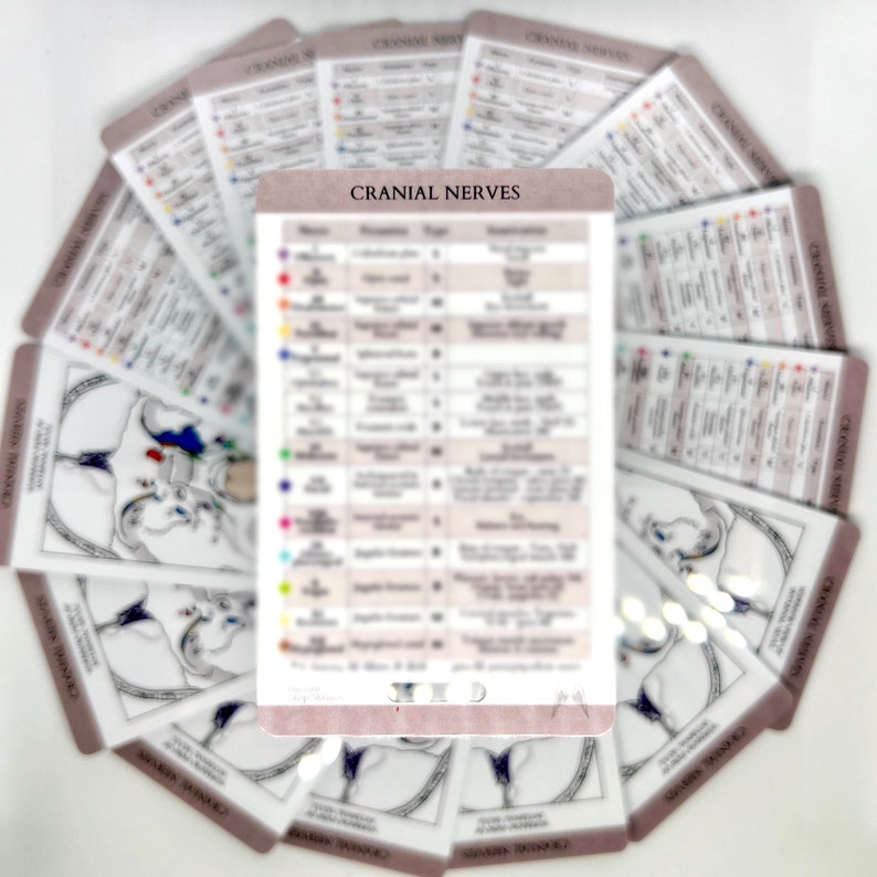 Cranial Nerves. Quick Reference Card Study Cards Dental - Etsy