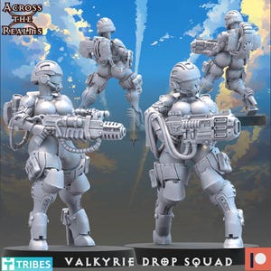 Valkyrie Drop Squad (13 Models) - (sculpted by Across the Realms) - Etsy