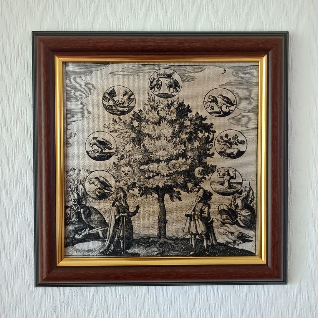 Alchemical Tree | Johann Daniel Mylius, 1622 | Framed Handmade ...