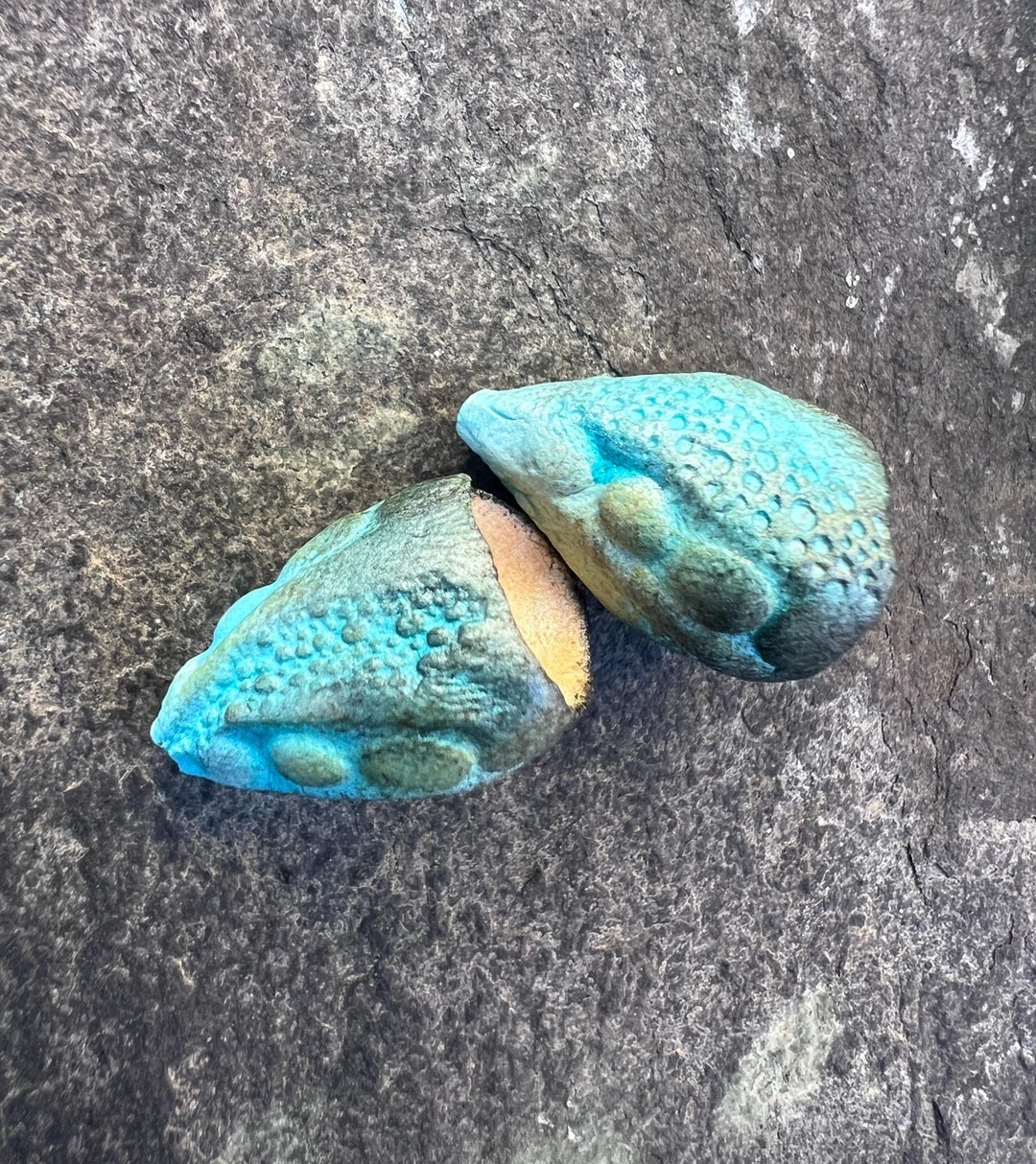 Turquoise Pods, Earring Components, Organic Beads, Textured Pods, Nature Inspired Pods ...