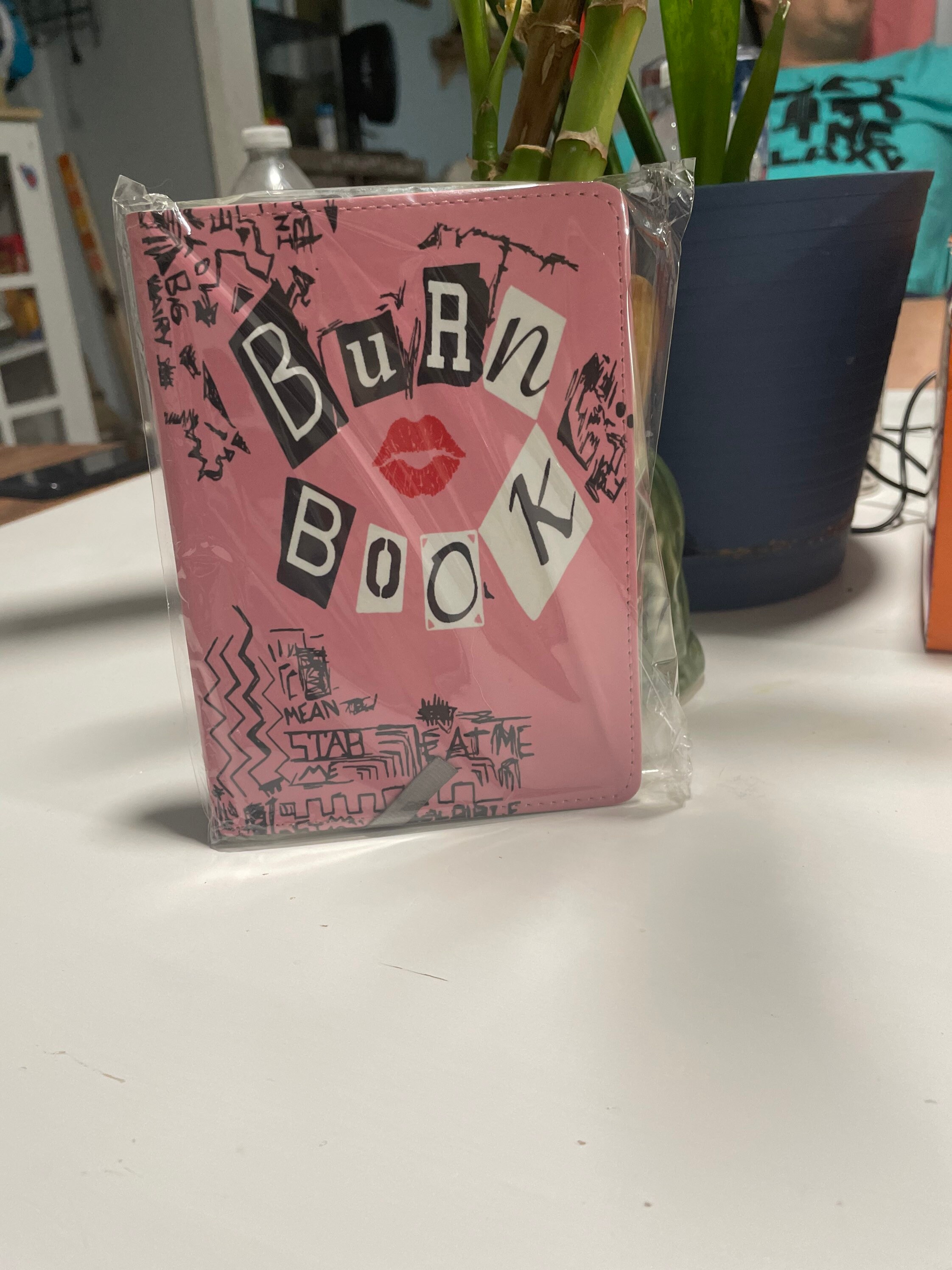 Burn Book Journal Mini Burn Book Mean Girls Gifts Blank - Etsy