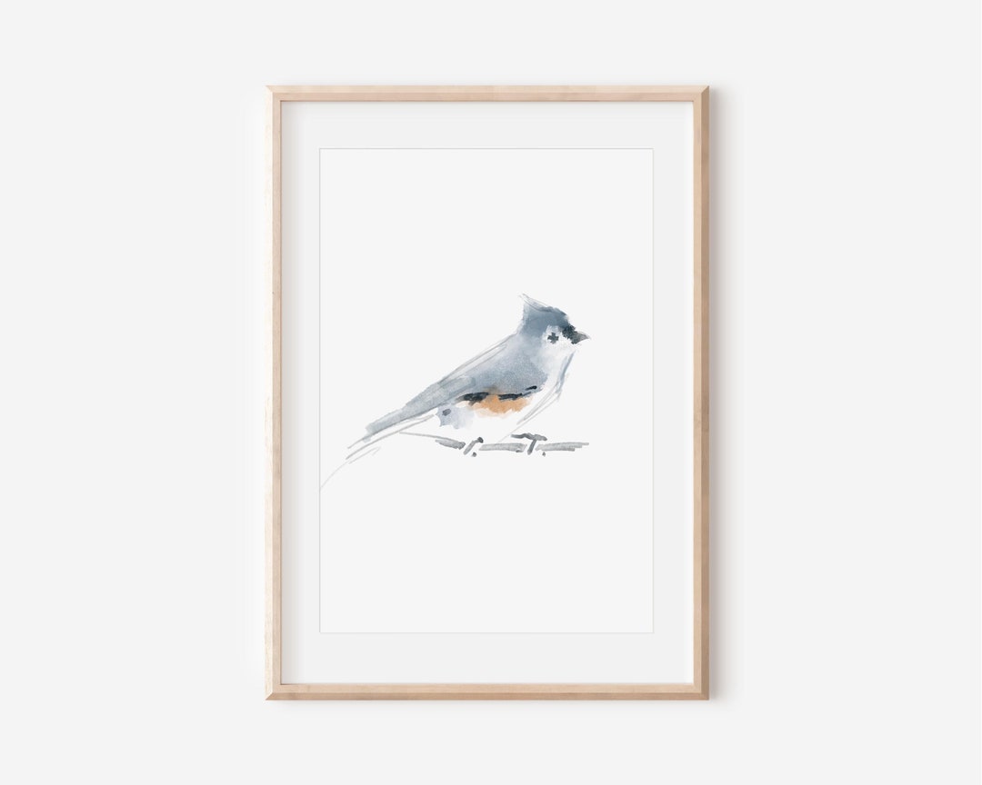 Tufted Titmouse Bird Art Print, Tufted Titmouse Wall Art, Watercolor ...
